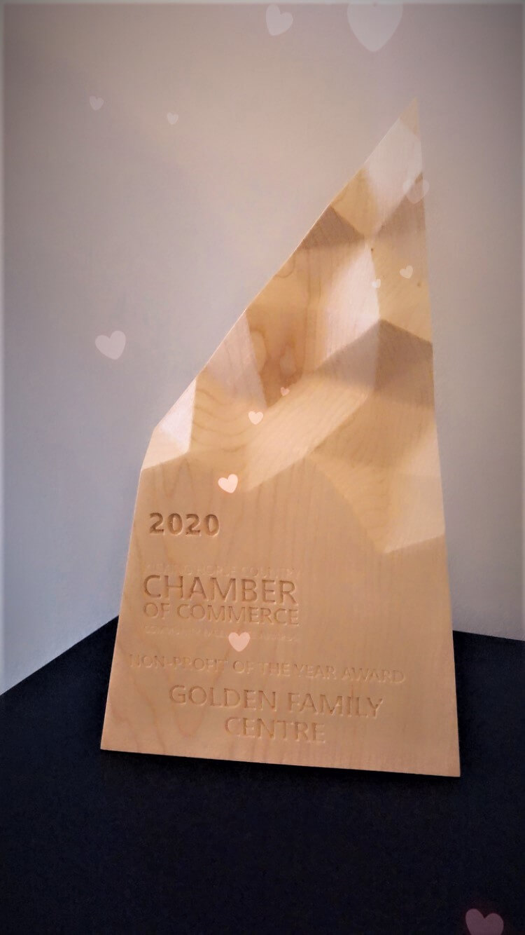 Recipient of the 2020 Community Excellence Award for Non-profit of the ...